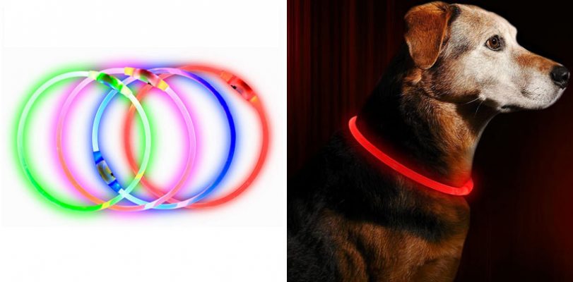 BEST LED Dog Collars [Rechargeable Dog Collars] | LED Light Guides