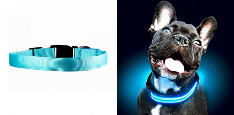 BEST LED Dog Collars [Rechargeable Dog Collars] | LED Light Guides