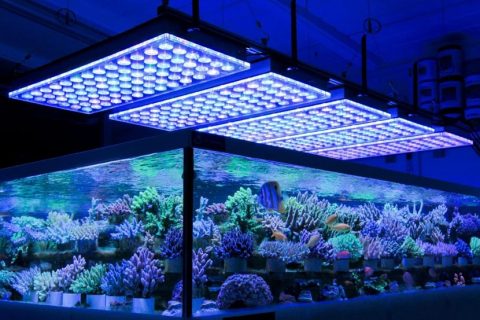 How To Diffuse LED Lights [Strip Lights & Bulbs] | LED Light Guides