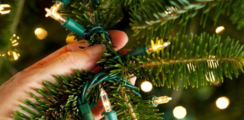 How to Put Lights on a Christmas Tree | LED Light Guides